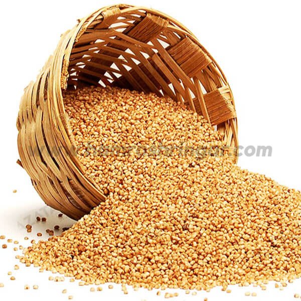 Kodo Millet Processed - 500 g - Online Shopping in Nepal | Shringar ...