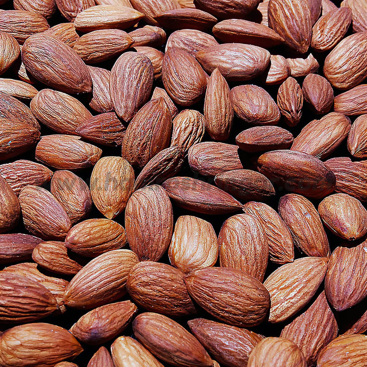 Almond (Badam) - 500 gm - Online Shopping in Nepal | Shringar Store ...